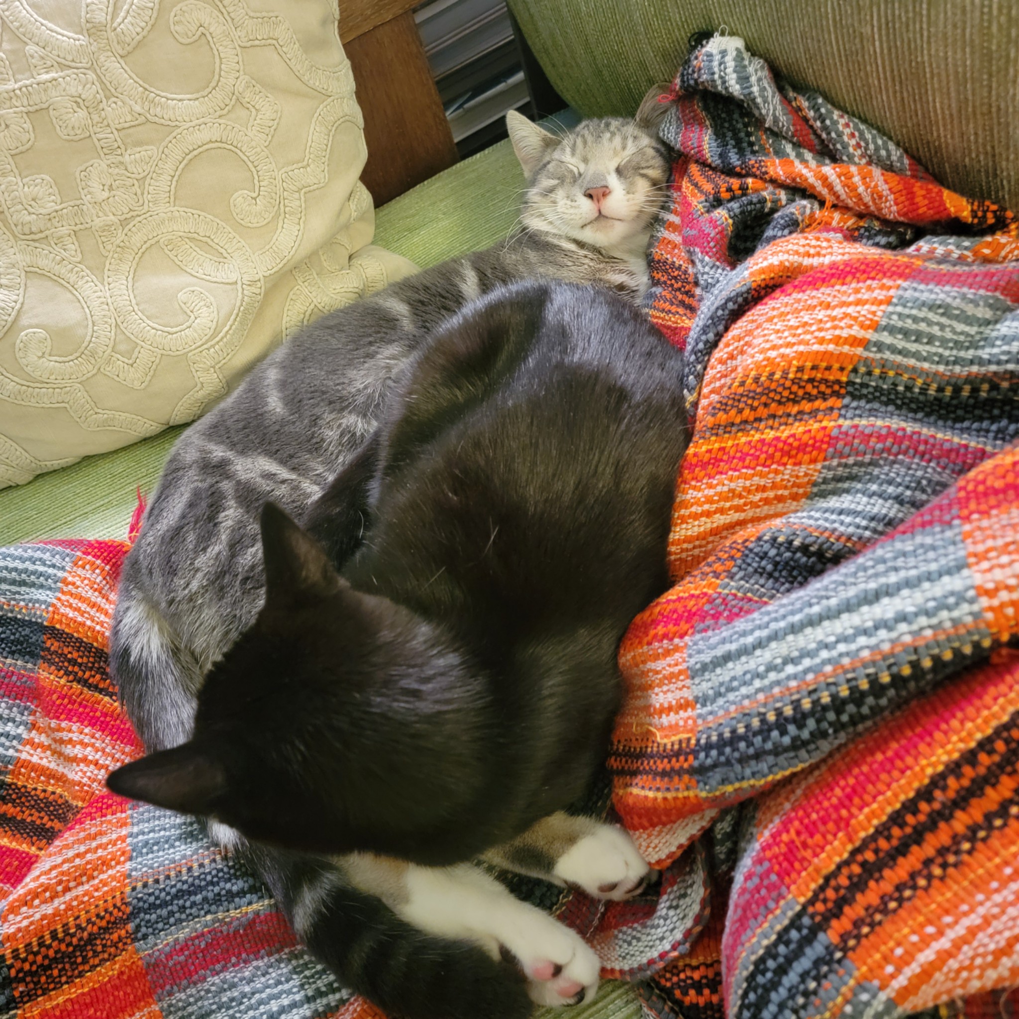 Interview: Filmmaker Tom Gilroy Talks Independent - Independent Magazine